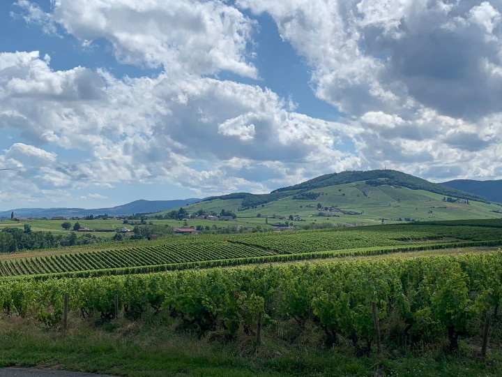 Le Charme Du Brouilly - Belleville, France