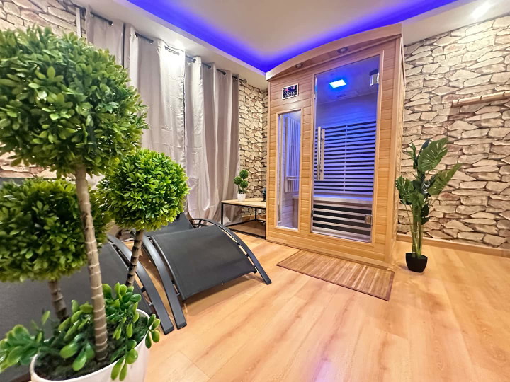 E Servagnat T3, Air-conditioned, Sauna, Jacuzzi And Hammam - Épernay