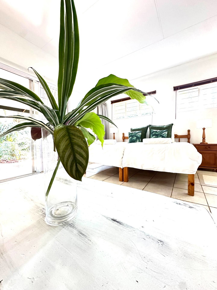 The Willow Studio - South Africa