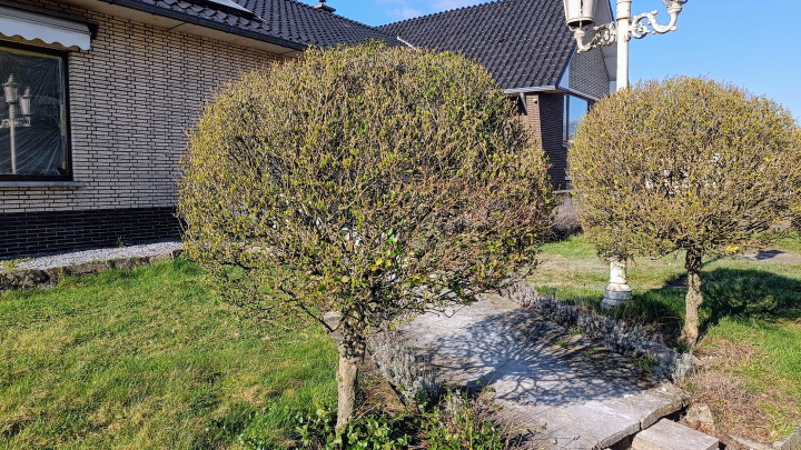 Casa Roman Vacation Home - Hasselt