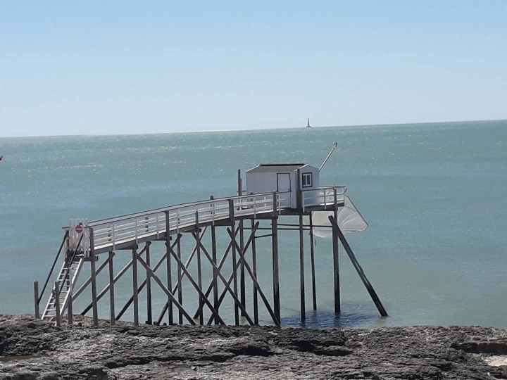 Vacances Face Mer Et Phare De Cordouan - Saint-Palais-sur-Mer