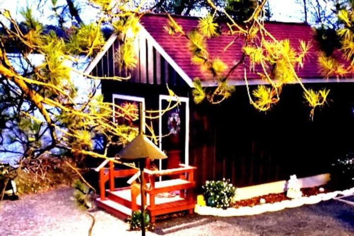 Secluded Lakefront Cottage On Veteran Homestead - 미네소타