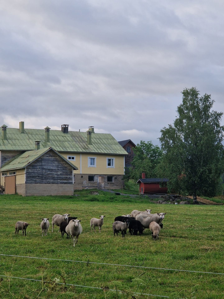 Torppa Järvenrannalla,
Pirkanmaa - Orivesi