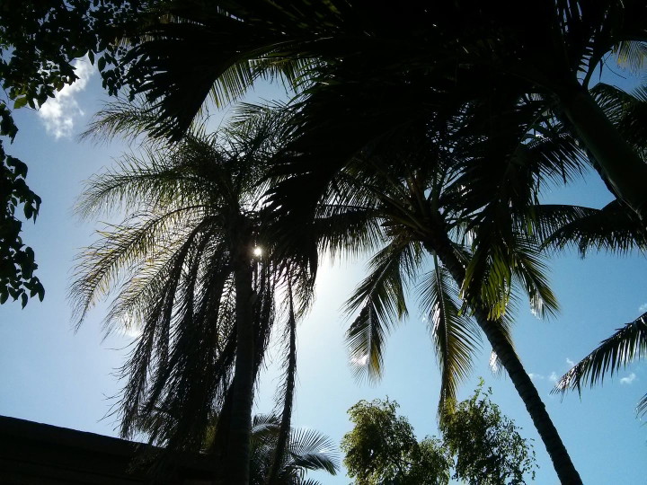 Artistic 1 Bedroom - Quick Walk To The Beach - Kauai, HI