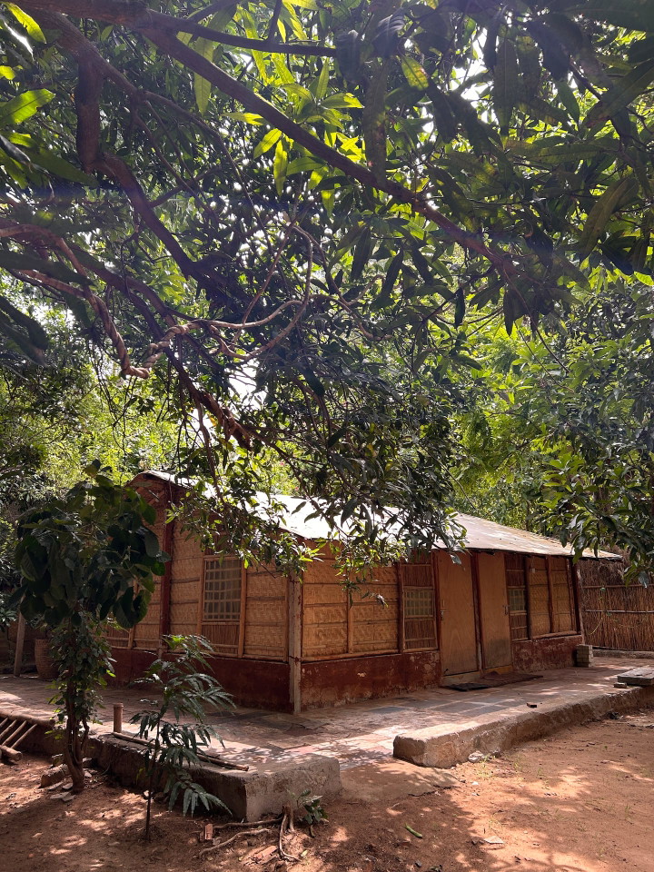Bamboo Mud Room - Hampi