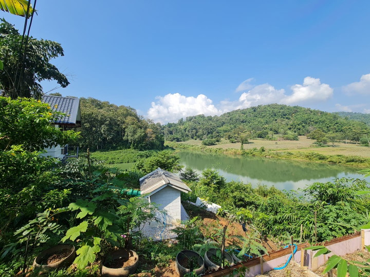 Lakeview Nature Retreat With Healthy Breakfast - Chiang Rai