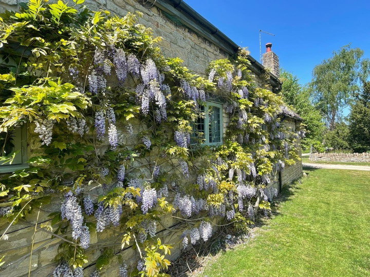 Stunning Cotswold Cottage, Log Burner, Winchcombe - Winchcombe