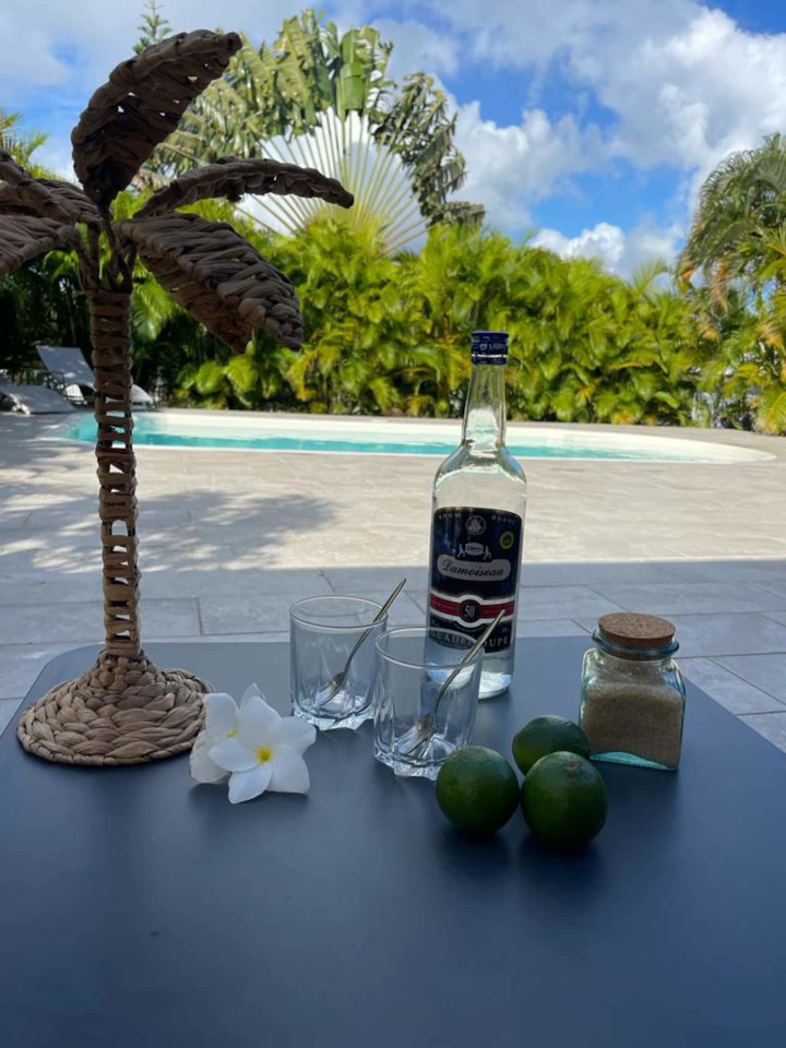 Villa Damoiseau Avec Piscine - Guadeloupe