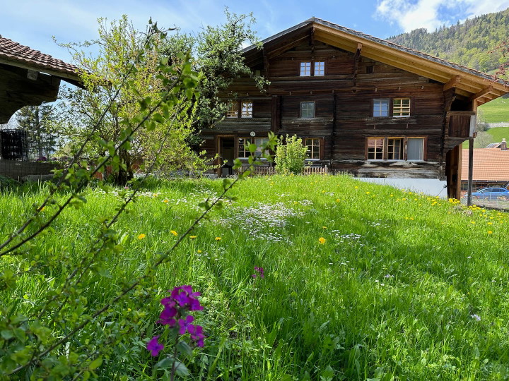 2-bedroom Apartment In Chalet Wandelhorn - Meiringen