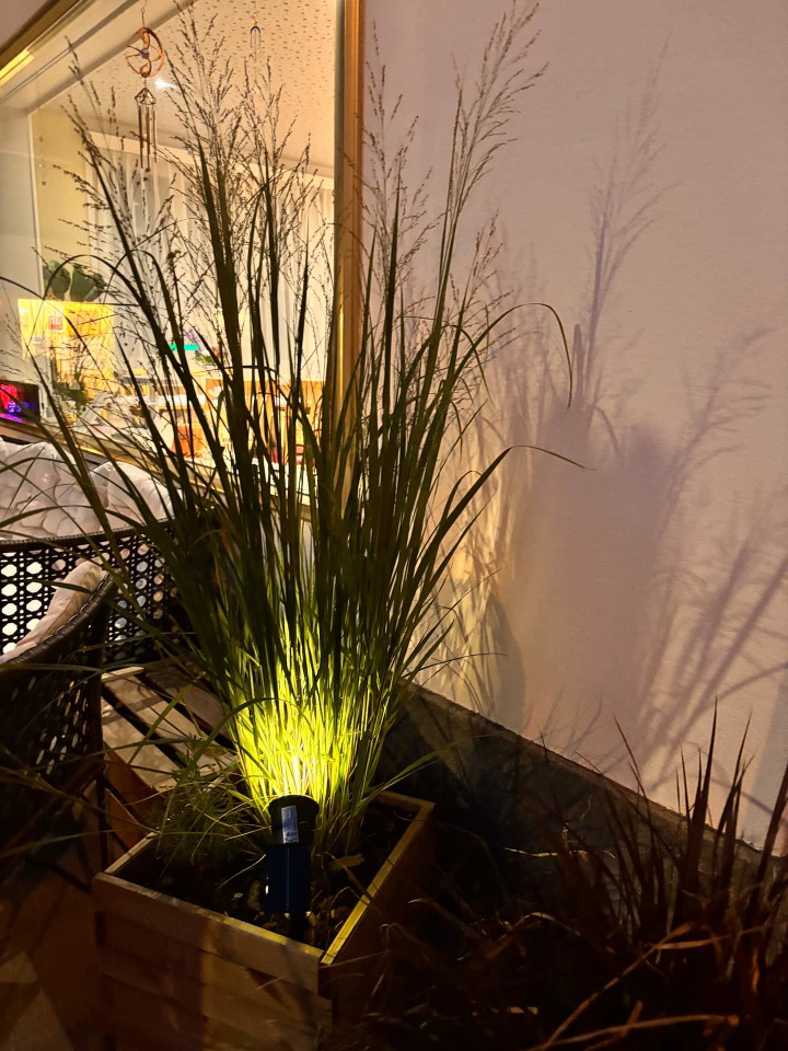 Wohnung Rosa's Schmuckstück Mit Charme - Hasliberg