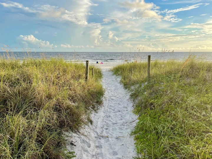 Salt And Sand Studio (Downstairs Only) - Panama City Beach, FL