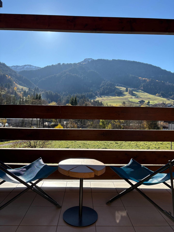 Appartement Plein Sud, Rénové, Bien Situé. - Praz-sur-Arly