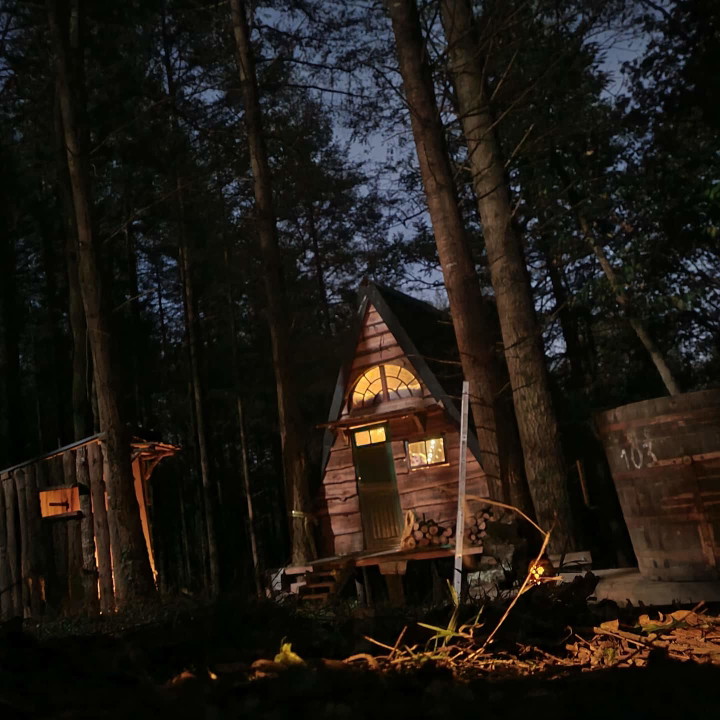Cabane A En Foret De Salies De Bearn - Pays basque français