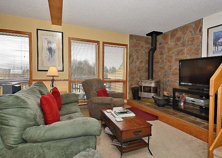 Df79-cozy Condo! Pets Ok! Pool! - Canaan Valley, WV
