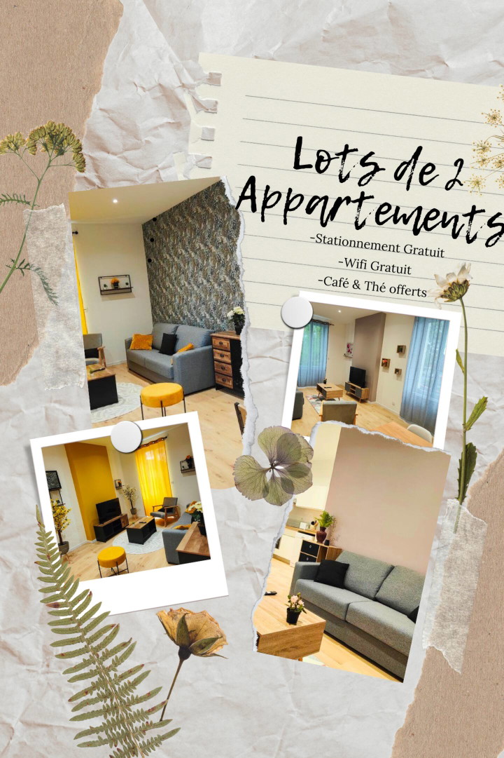 2en1 Atypique : 8 Pers,wifi,parking, Clim - Riom
