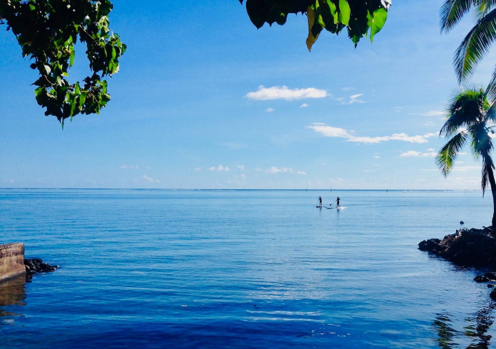 Tahiti Paea Coconut Paradise - French Polynesia
