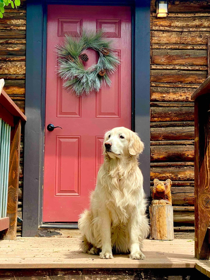Wonderful Log Cabin-pet Friendly-grand Lake Co - Grand Lake, CO