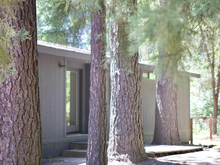Konocti Lodge - Secluded Forest Getaway - Clearlake, CA