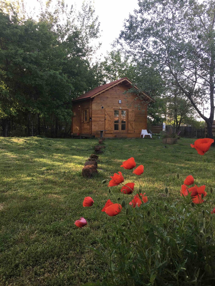 Chalet Bois, Entre Leyre Et Mer. - Salles