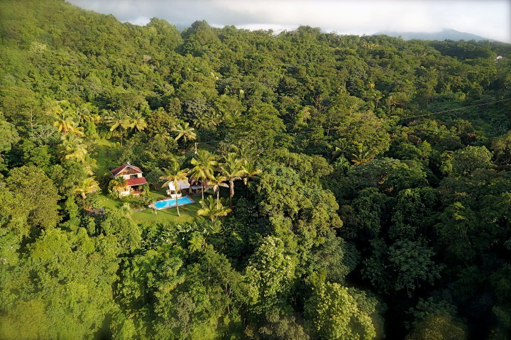 Mountain Caapi Cottage With Pool - Dominica