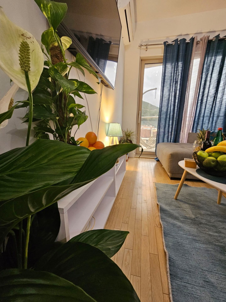 Boutique Apartman Dora Young - Montenegro