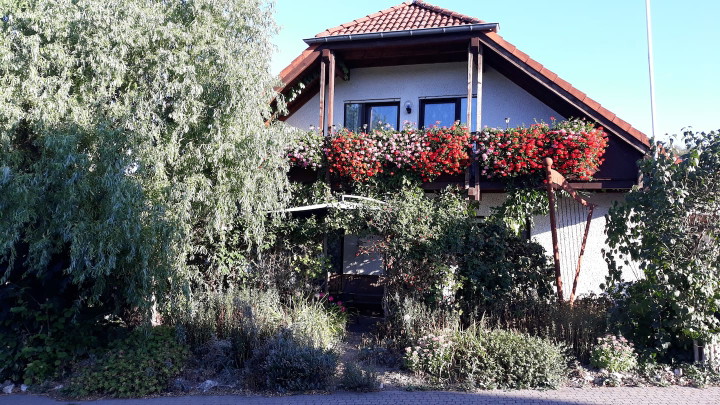 Haus " Harfe " - Schlangenbad