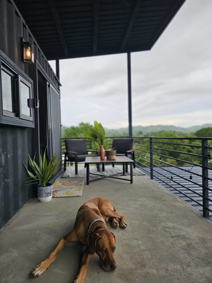 The Nest 2 Private Treetop Studios 5m To Venao - Panama