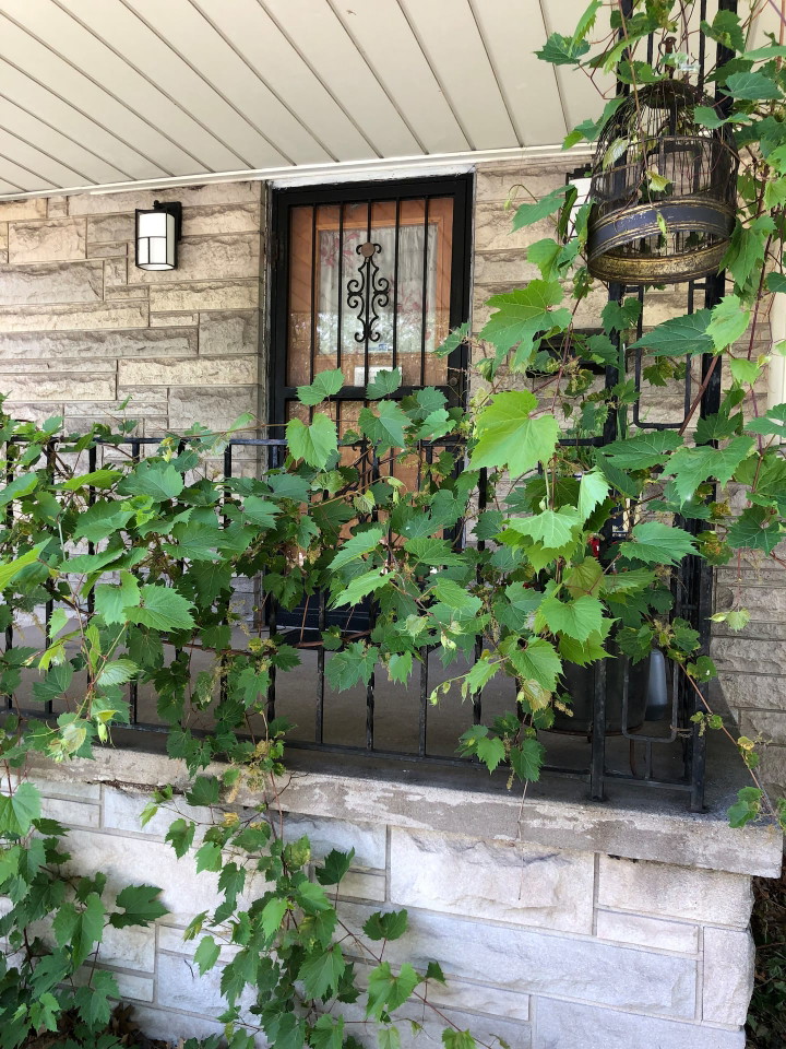 Quiet Retreat Near Hiking And Beach - Gary, IN