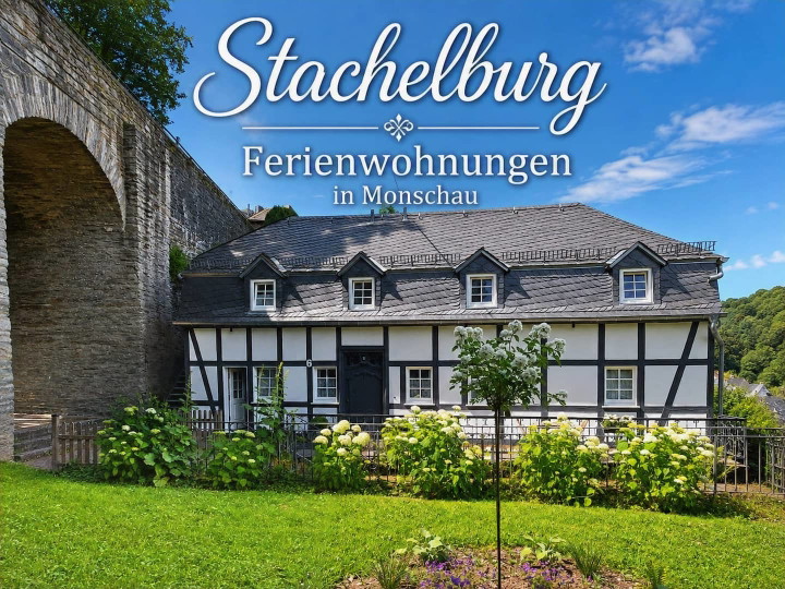 Stachelburg-fewo Mit Terrasse Wohnung Kaminzimmer - Monschau