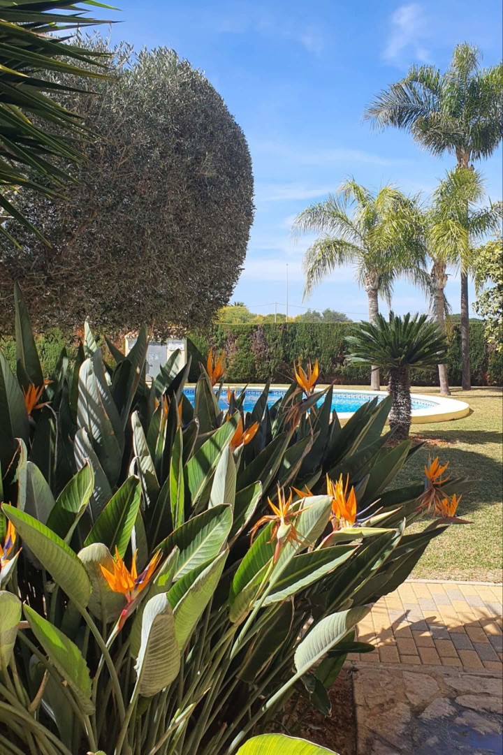 Casa León - Belle Maison De Ville Avec Piscine Et Jardin - Dénia