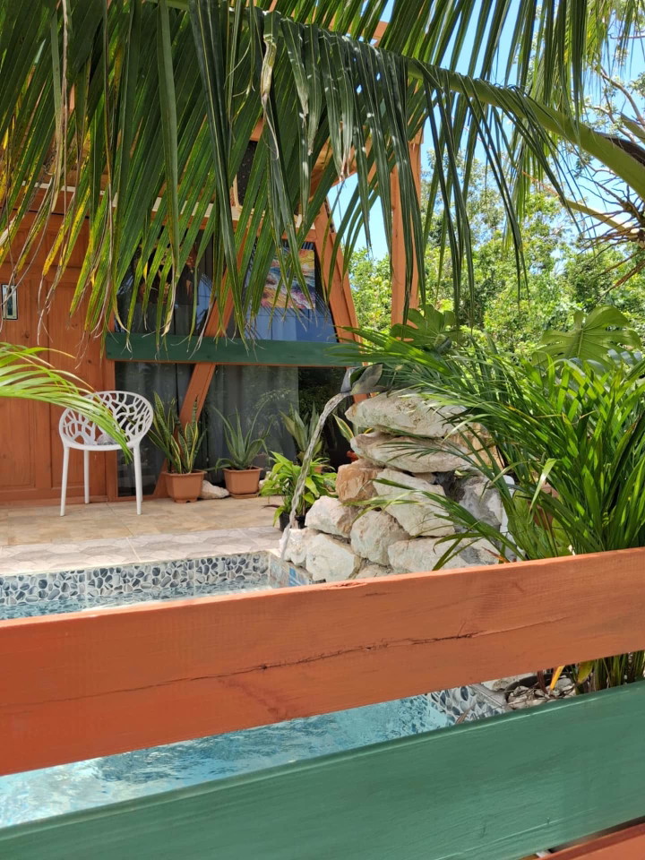 Bananaz Cabin - Negril