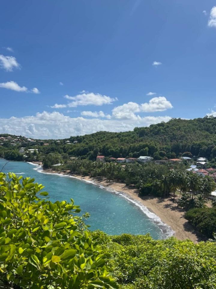 Aprt Paisible Pieds Dans L'eau Tartane - Madrépore - Martinique