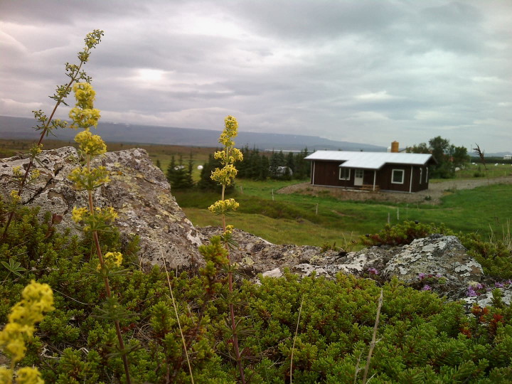 Gíslastaðir - Cottage - Islande