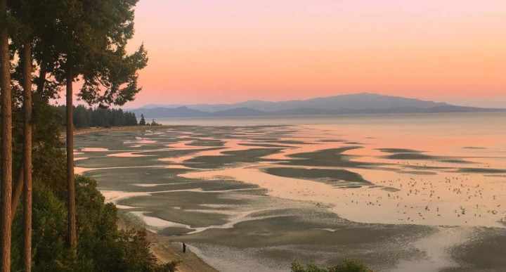 Sea Breeze Retreat- Stunning Ocean Views - Parksville