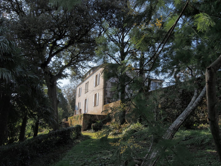 Propriété Familiale/principale Centre Clisson - Clisson
