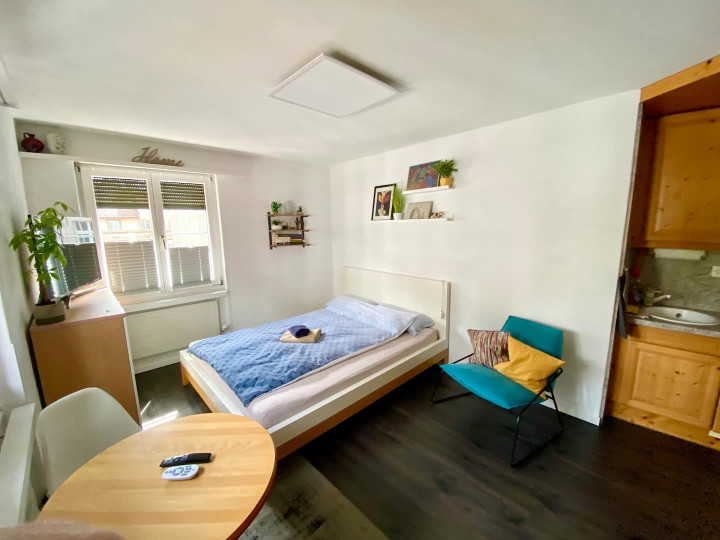 Sunny Bright Apartment - Zürich