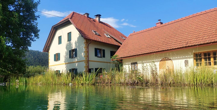 Beautiful Apartment With A Natural Swimming Pond - Ferlach