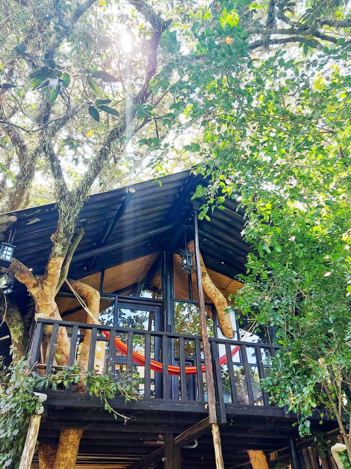 La Casa Del Arbol/tree House - Ecuador