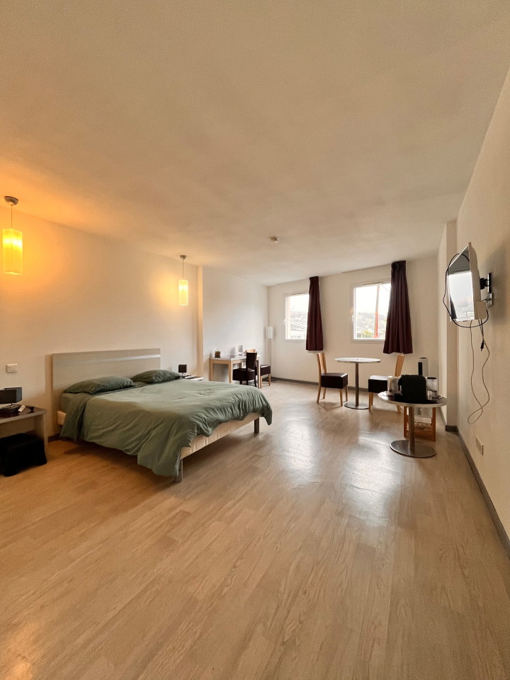 Beautiful Studio Near The Train Station - Adé