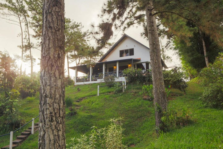 El Santuario I Shelter Among Pines L Pet Friendly - Panama