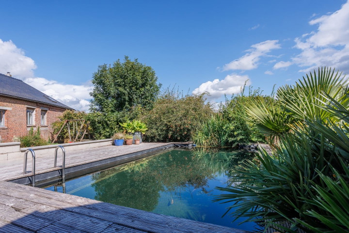 Le Gîte Des Hirondelles - Piscine Naturelle - Aisne