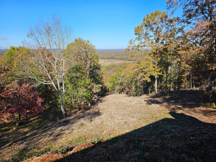 Wagonwheel Retreat - Gainesville, MO