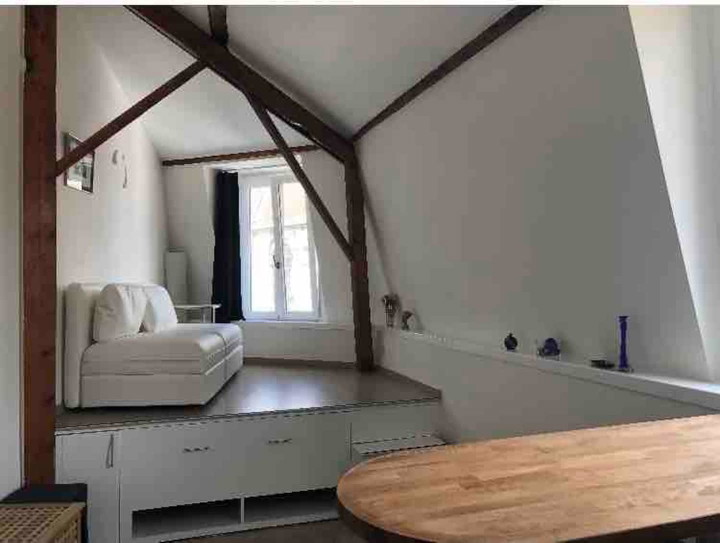 Jardin Des Olives - Studio With Wonderful View - Brussels