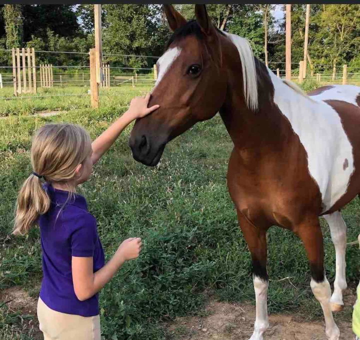Lancaster County Horse Ranch Apartment - Wrightsville, PA