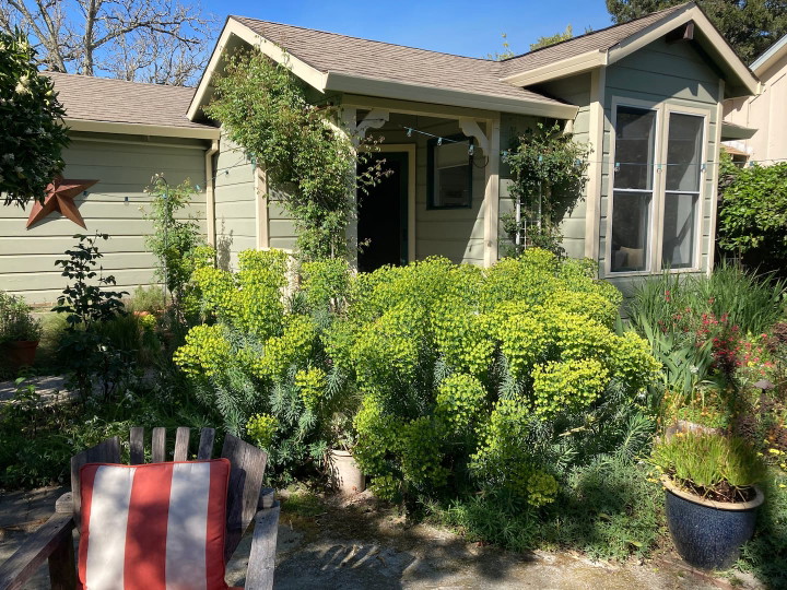 Romantic Cottage | Walk To Healdsburg Plaza - Healdsburg, CA