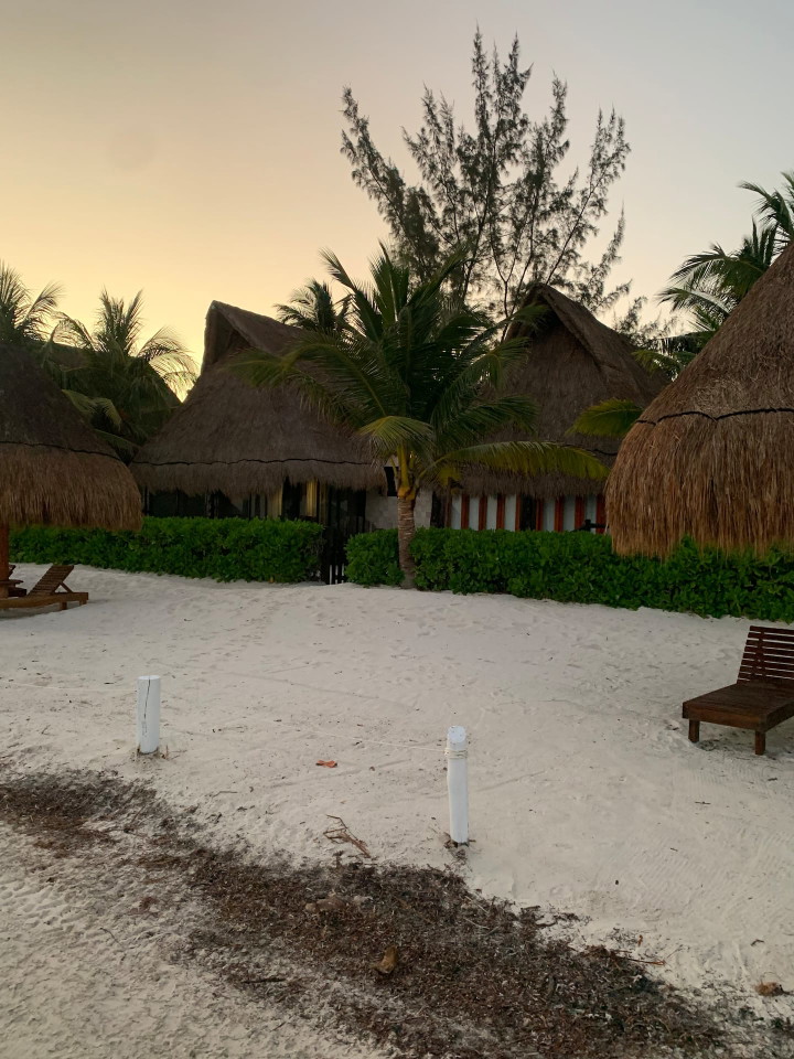 Whale Shark Cabin. Rhincodon Typus. - Isla Holbox