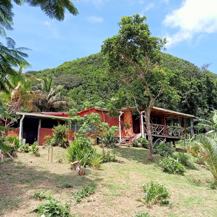 Driftwood Eco-lodge  Nature In Dominica - Dominica
