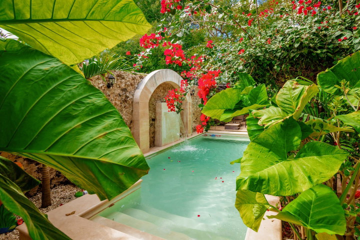 11. Historic Centre / Fast Wi-fi / Free Coffee - Yucatán