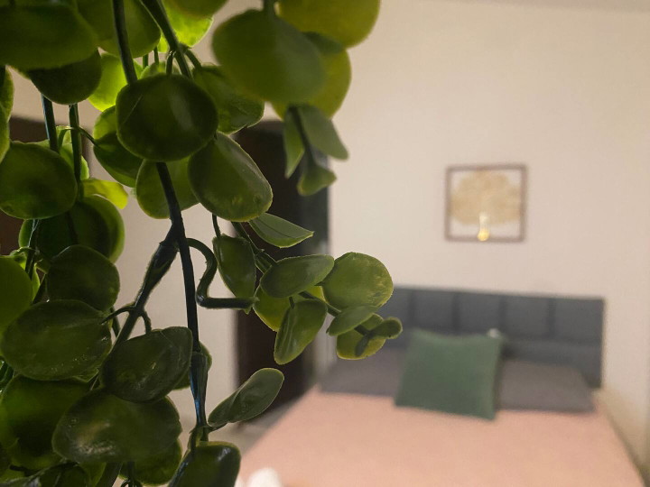 D7 Loft Sommets Cinquième Secteur Place Sommets - Monterrey