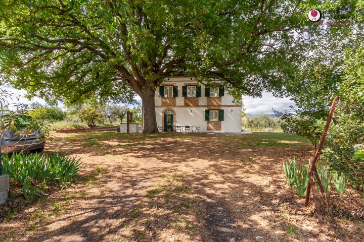 Under The Oak Tree - Lanciano